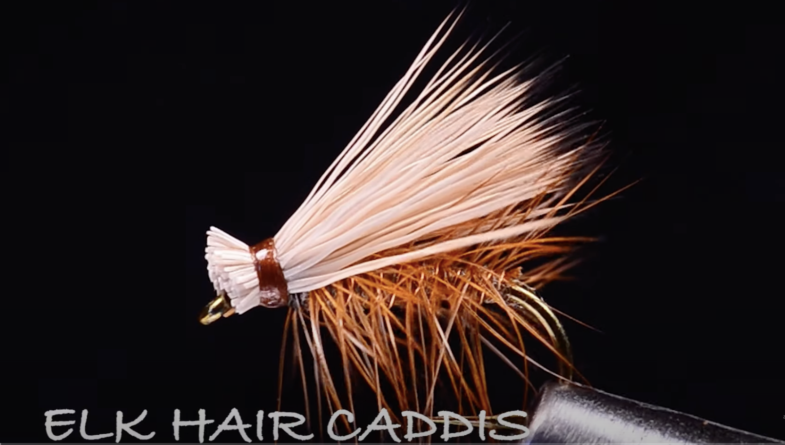 StepsbyStep Guide: Fly Tying for Beginners Elk Hair Caddis — Fly Life Media